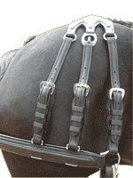 Draft Show Harness - Shanahan Harness